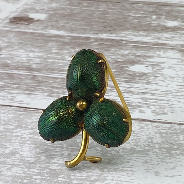 Beetle Carapace Jewelry - Etsy