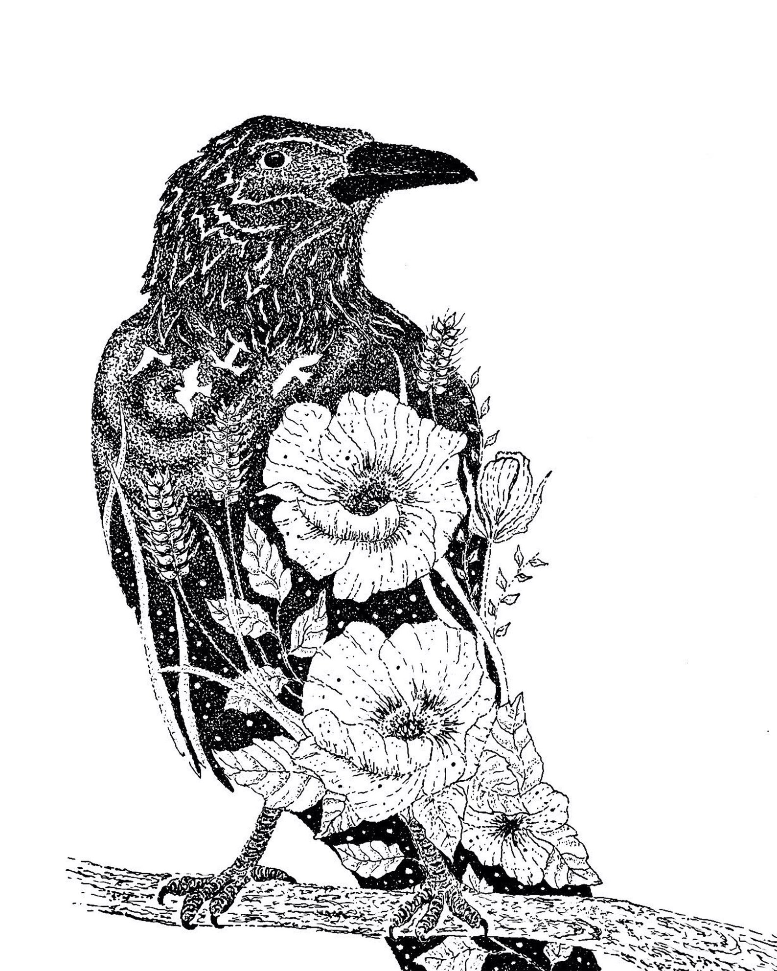 8x10 Illustrated Crow Print - Etsy