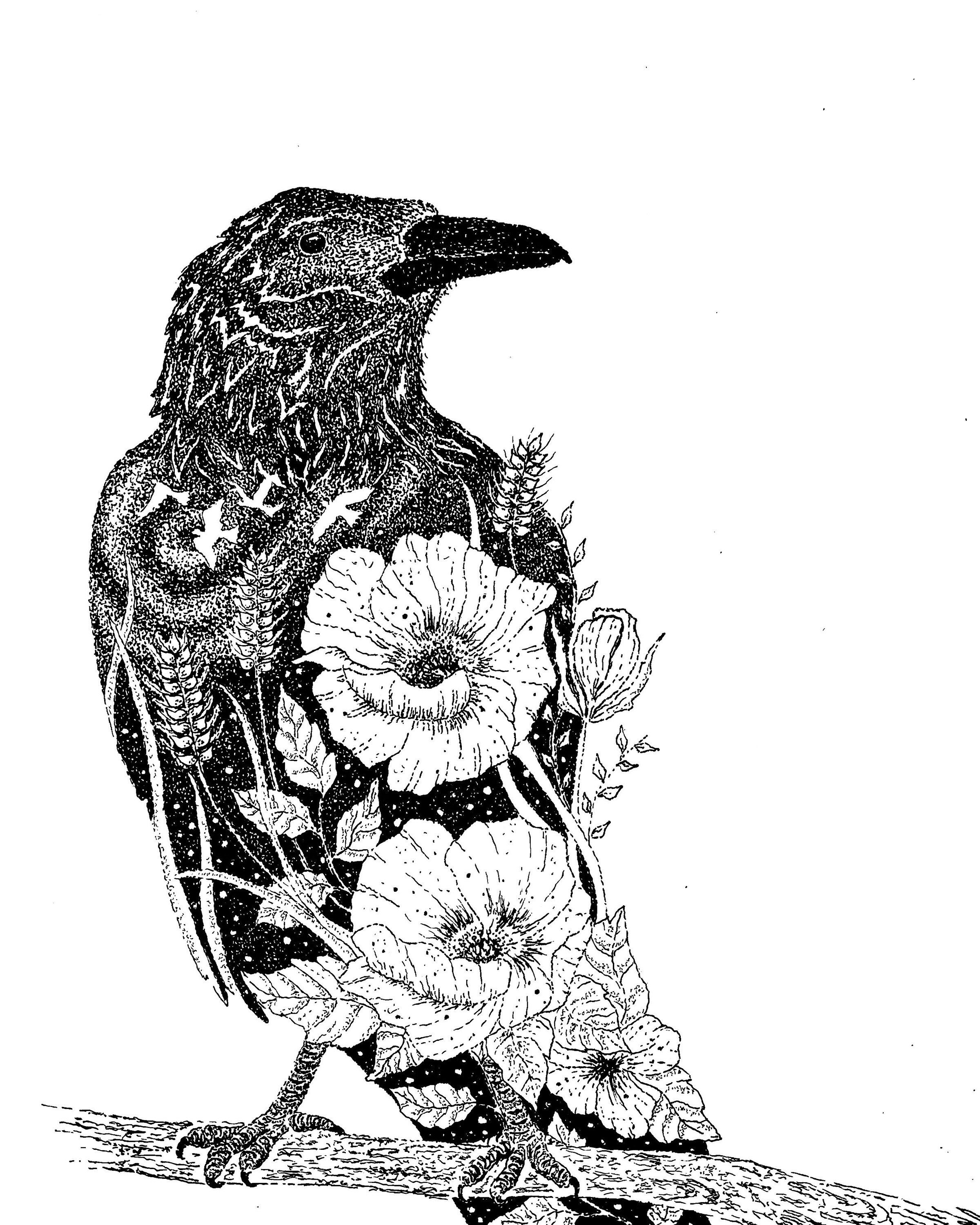 8x10 Illustrated Crow Print - Etsy