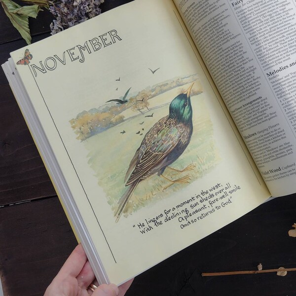 Country Diary - Etsy