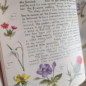 Wildflower Book Botanical Watercolour Flower Guide - Etsy