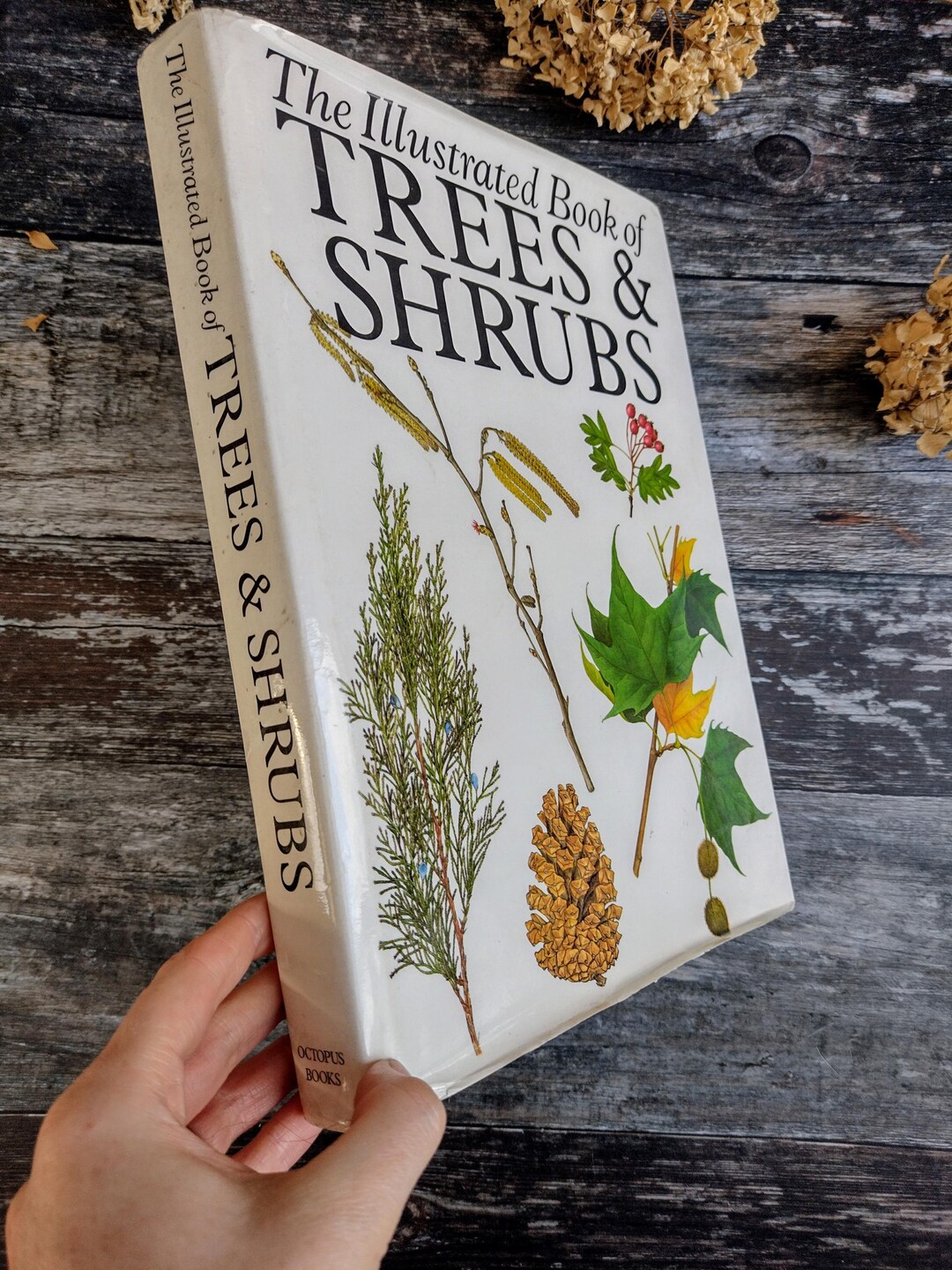 HUGE Illustrated Trees and Shrubs Book - Botanical Vintage Guide Book ...