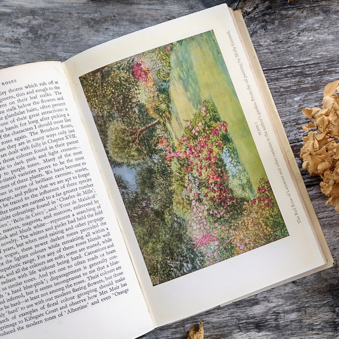 Roses Vintage Book Illustrated Botanical Flower Book - Etsy