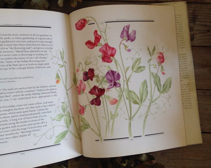 A Victorian Garden Gardening Diary Botanical Art Flower Book Gardening ...