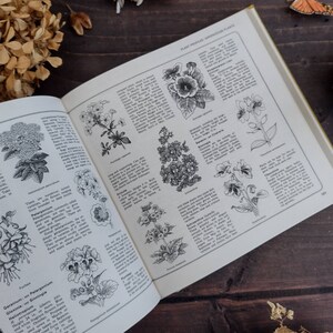 Gardening Year Guide - Illustrated Botanical Book - Etsy
