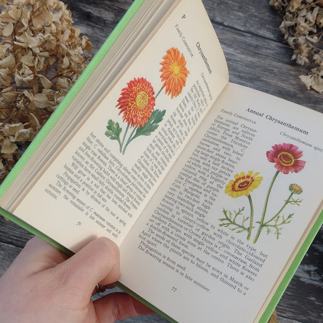 Observer's Garden Flower Vintage Book Wildflower Guide - Etsy