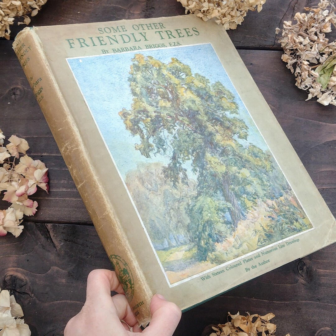 RARE Friendly Trees Book Vintage Book Nature Guide - Etsy