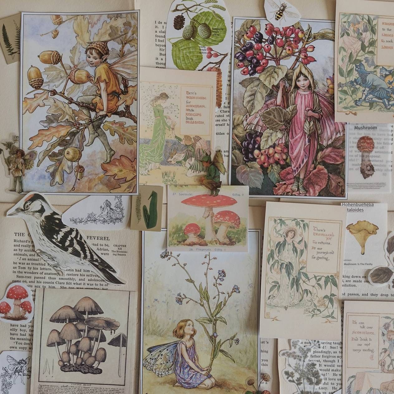 Enchanted Forest Botanical Ephemera Pen Pal Kit Vintage - Etsy