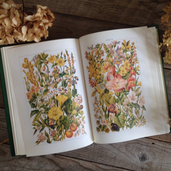 Vintage Flower Book - Etsy