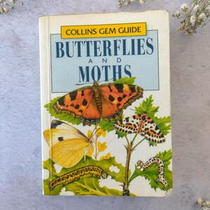 Guide to Butterflies and Moths - Vintage Botanical Creative Gift - Etsy