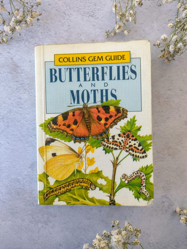 Guide to Butterflies and Moths - Vintage Botanical Creative Gift - Etsy