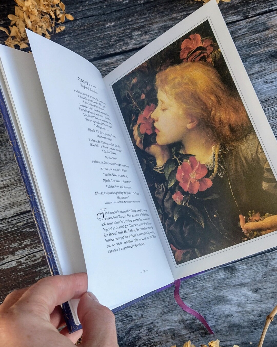 Language of Flowers - Victorian Botanical Book - Etsy