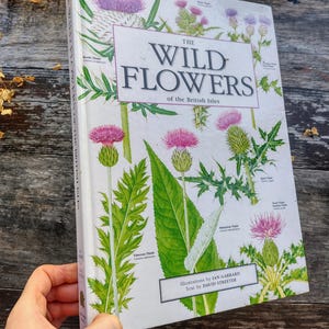 HUGE Wildflowers Botanical Art Vintage Book - Flower Book - Etsy