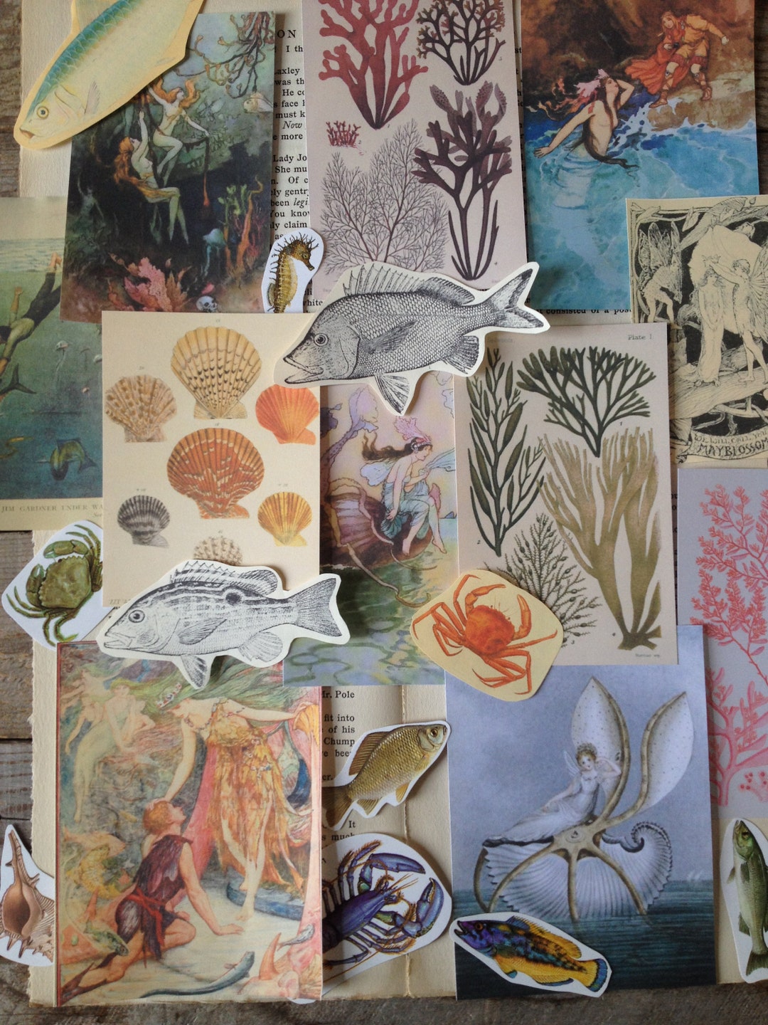 Mermaid Ephemera Kit: Vintage Sea Illustrations for Junk Journals - Etsy