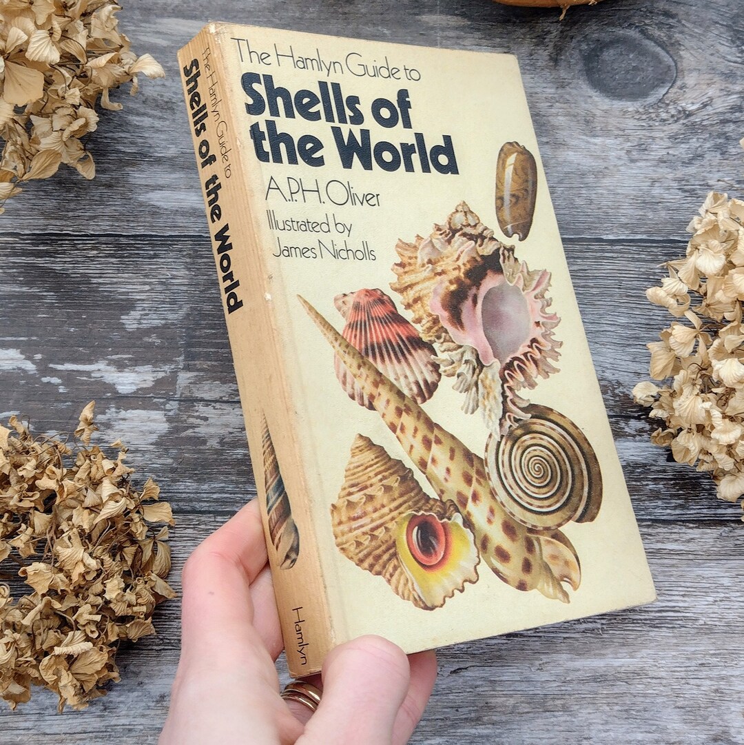 Sea Shells of the World Illustrated Book - Vintage Nature Guide - Etsy