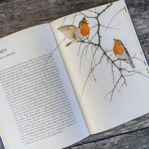 British Bird Guide Vintage Book birdwatchers Gift-nature Book nature ...