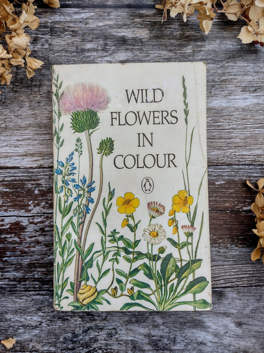 Wildflower Guide - Nature Guide - Vintage Book - Etsy