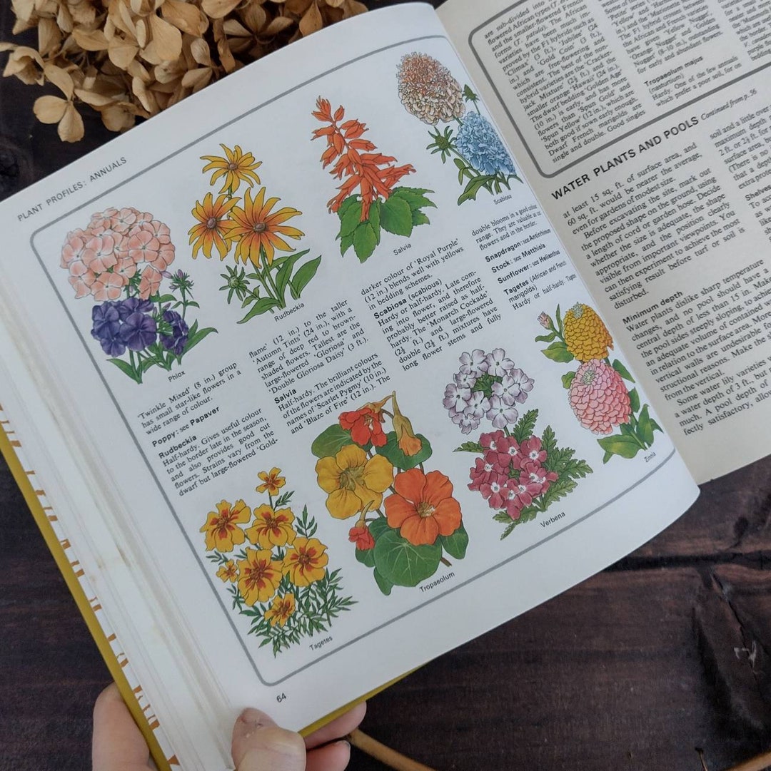 Gardening Year Guide - Illustrated Botanical Book - Etsy