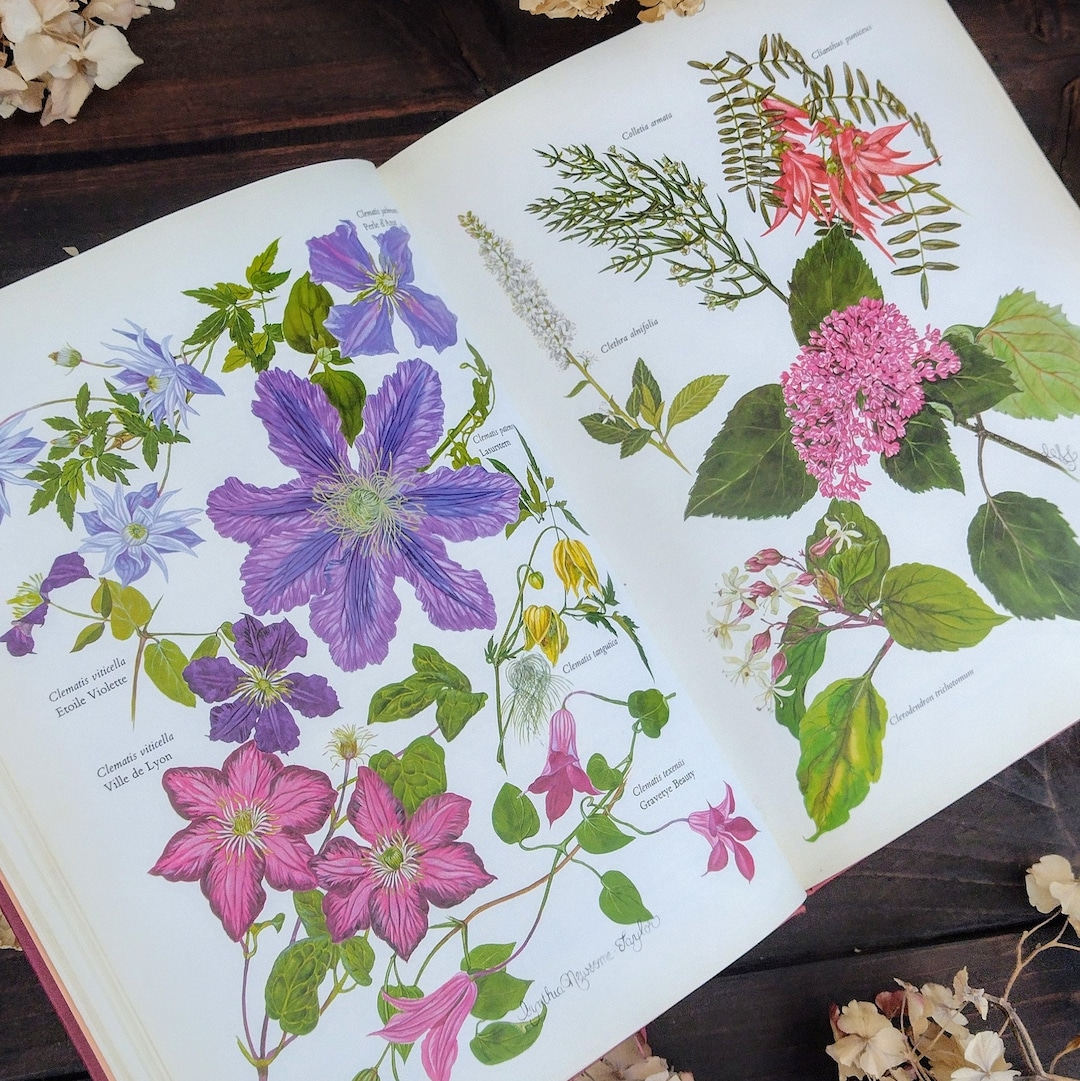 Floral Garden Flowers Book Illustrated Botanical Book Nature Book - Etsy