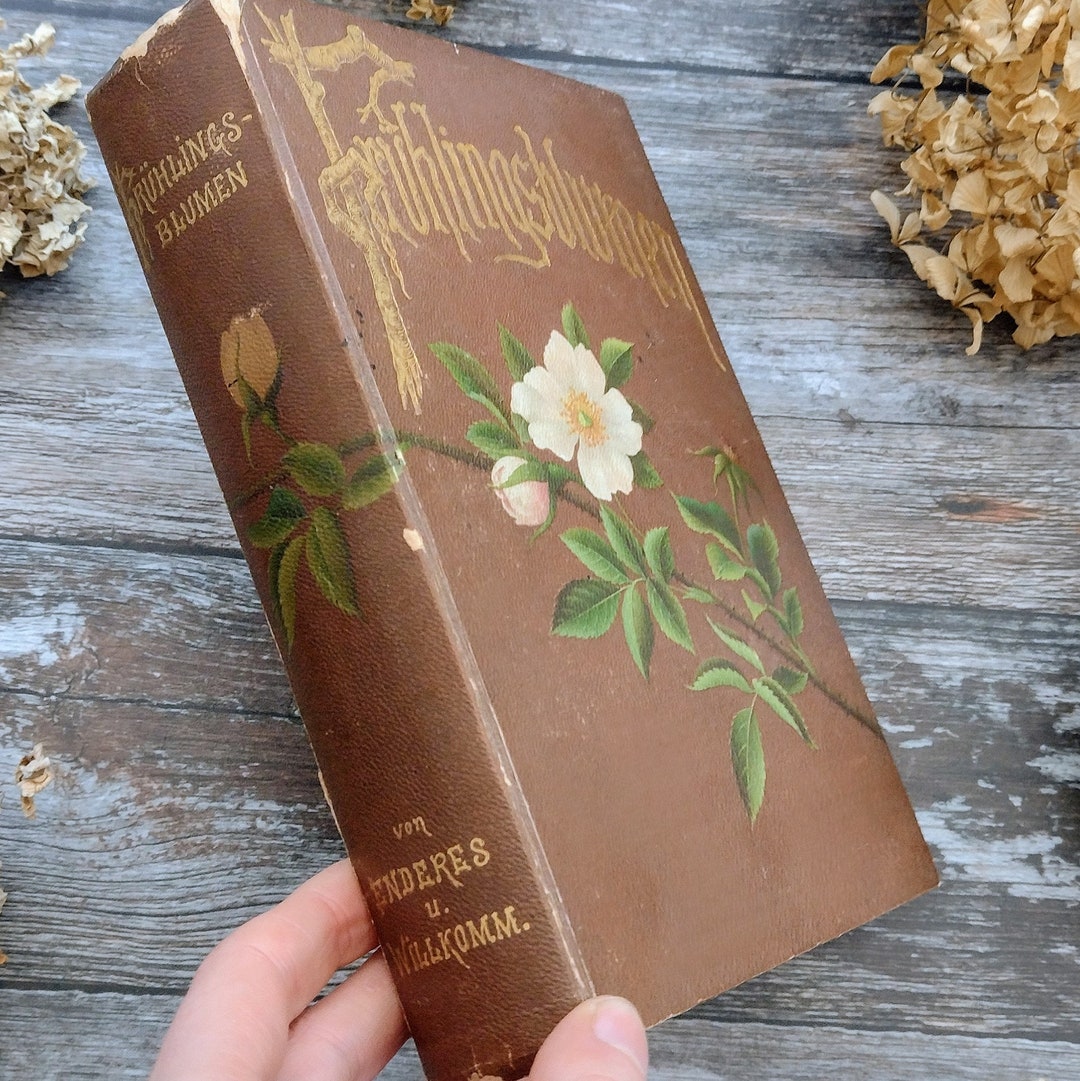 Antique and Rare - Spring Flowers -illustrated Botanical Book - Etsy