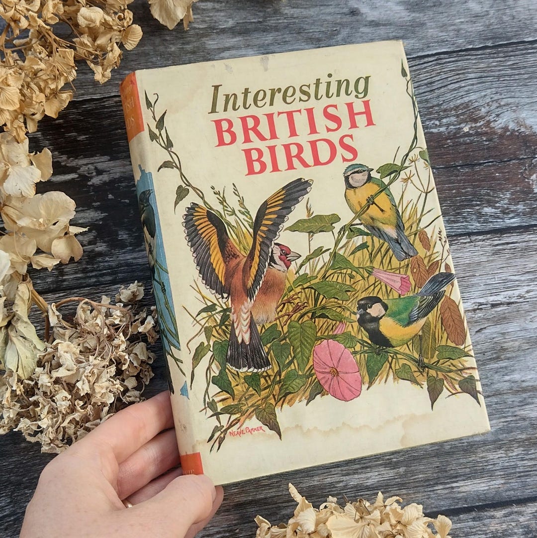 Vintage Interesting British Bird Guide Illustrated Nature Book - Etsy