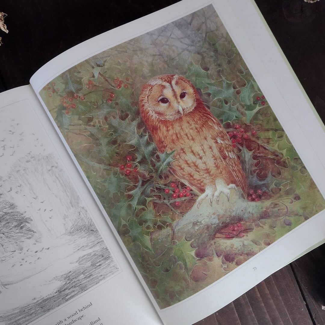 Woodland Nature Book - Guide to the Countryside Book - Etsy