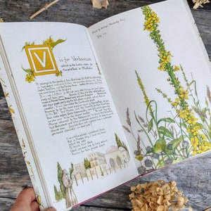 Wildflower Book Botanical Watercolour Flower Guide - Etsy