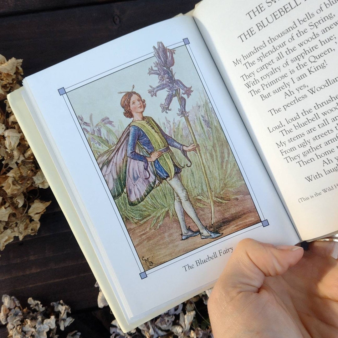 Flower Fairies of the Spring Wildflower Book - Watercolour Artist Gift ...
