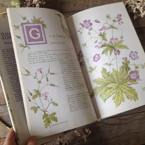 Wildflower Book Botanical Watercolour Flower Guide - Etsy