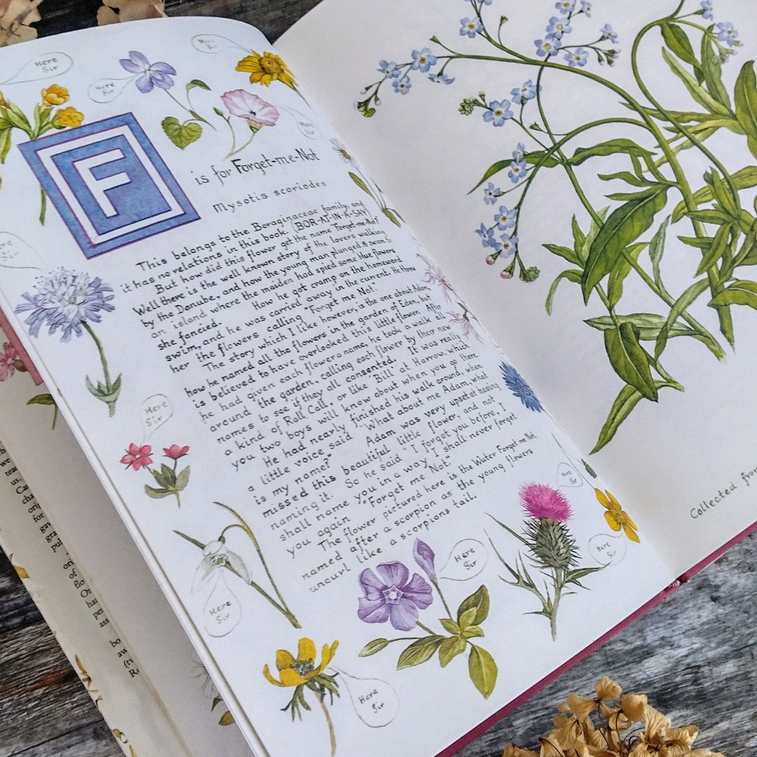 Wildflower Book - Botanical Watercolour Flower Guide - Etsy