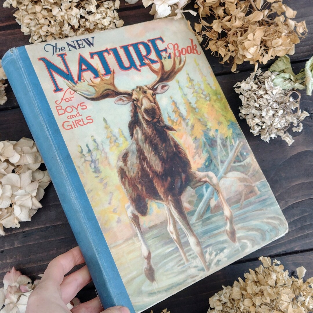 Vintage the New Nature Book Illustrated Natural History Old Guide - Etsy