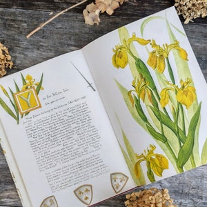 Wildflower Book Botanical Watercolour Flower Guide - Etsy