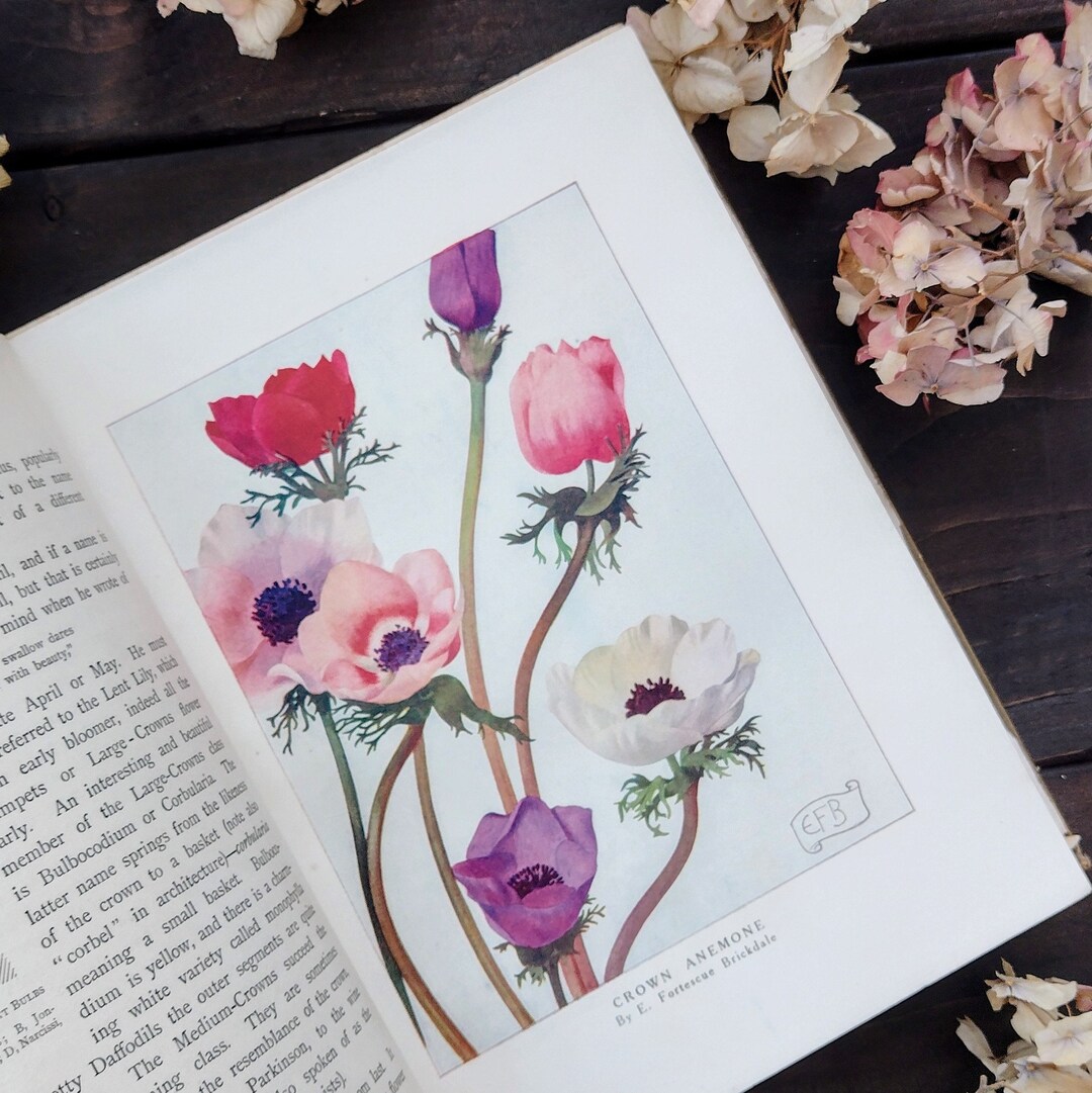 HUGE Antique Beautiful Garden Flowers Book Botanical Nature - Etsy