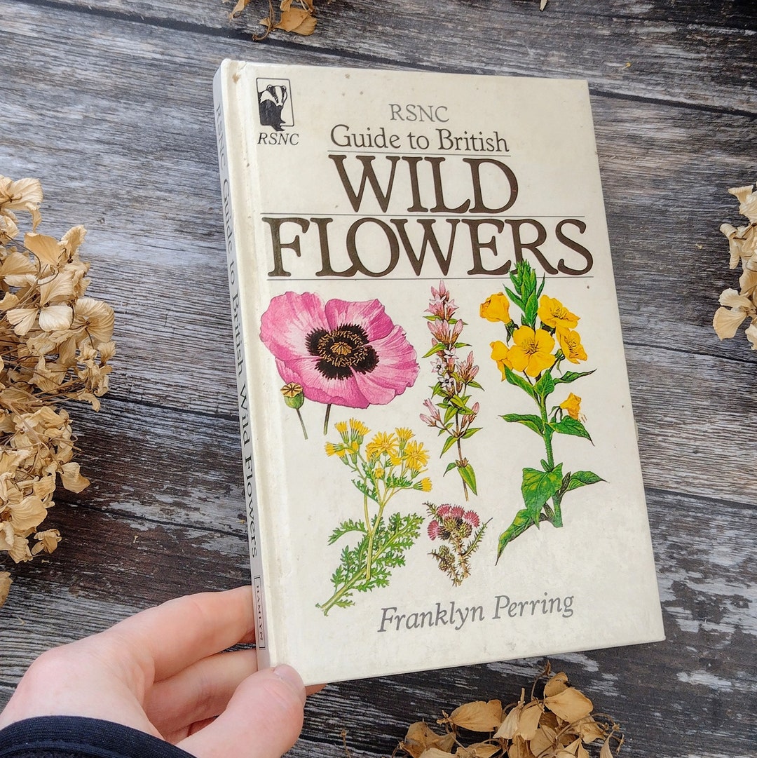 Wild Flowers Wildflowers Vintage Book Watercolour Artist Botanical - Etsy