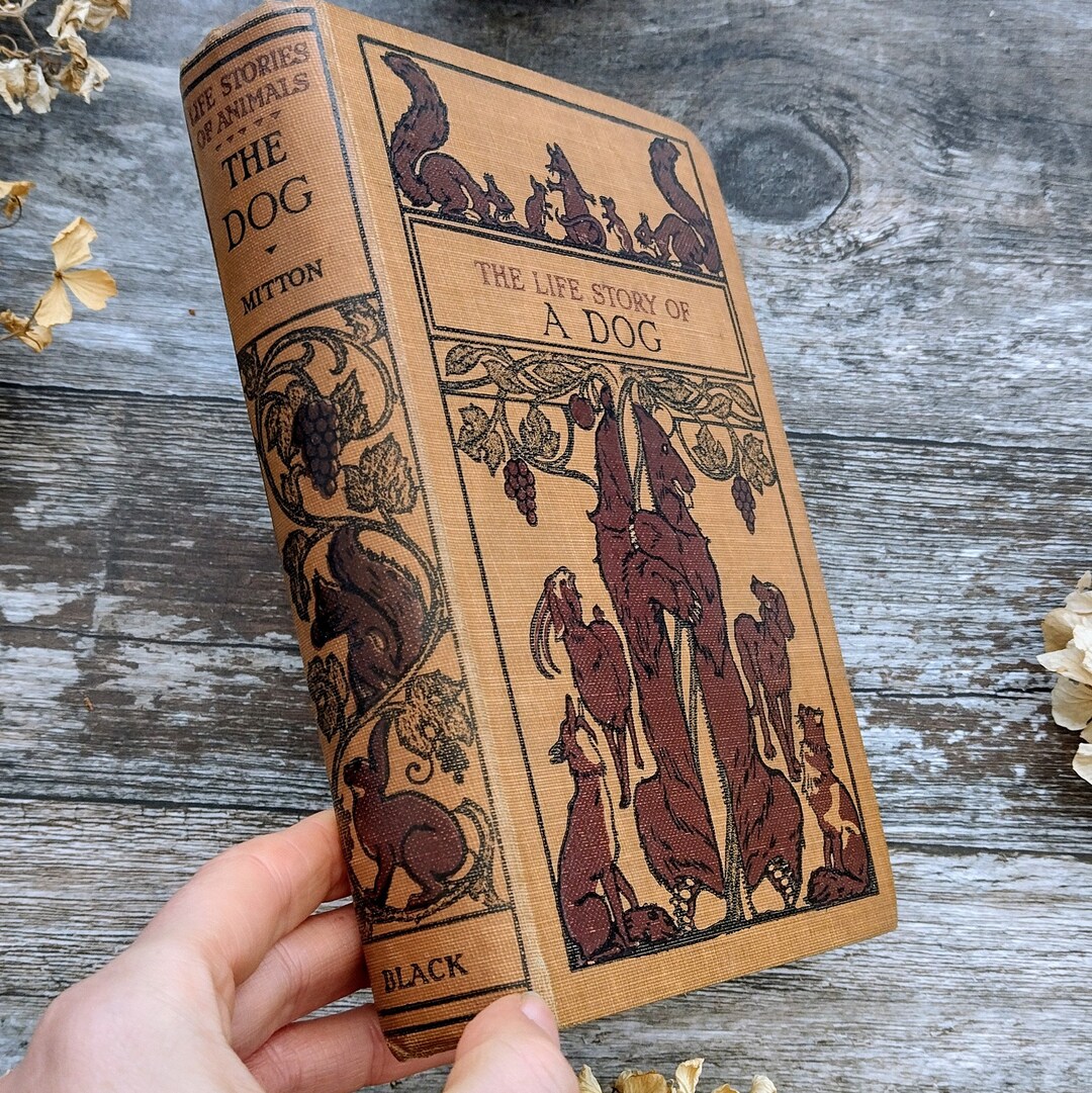 Life Story of a Dog Antique Decorative Book - Etsy