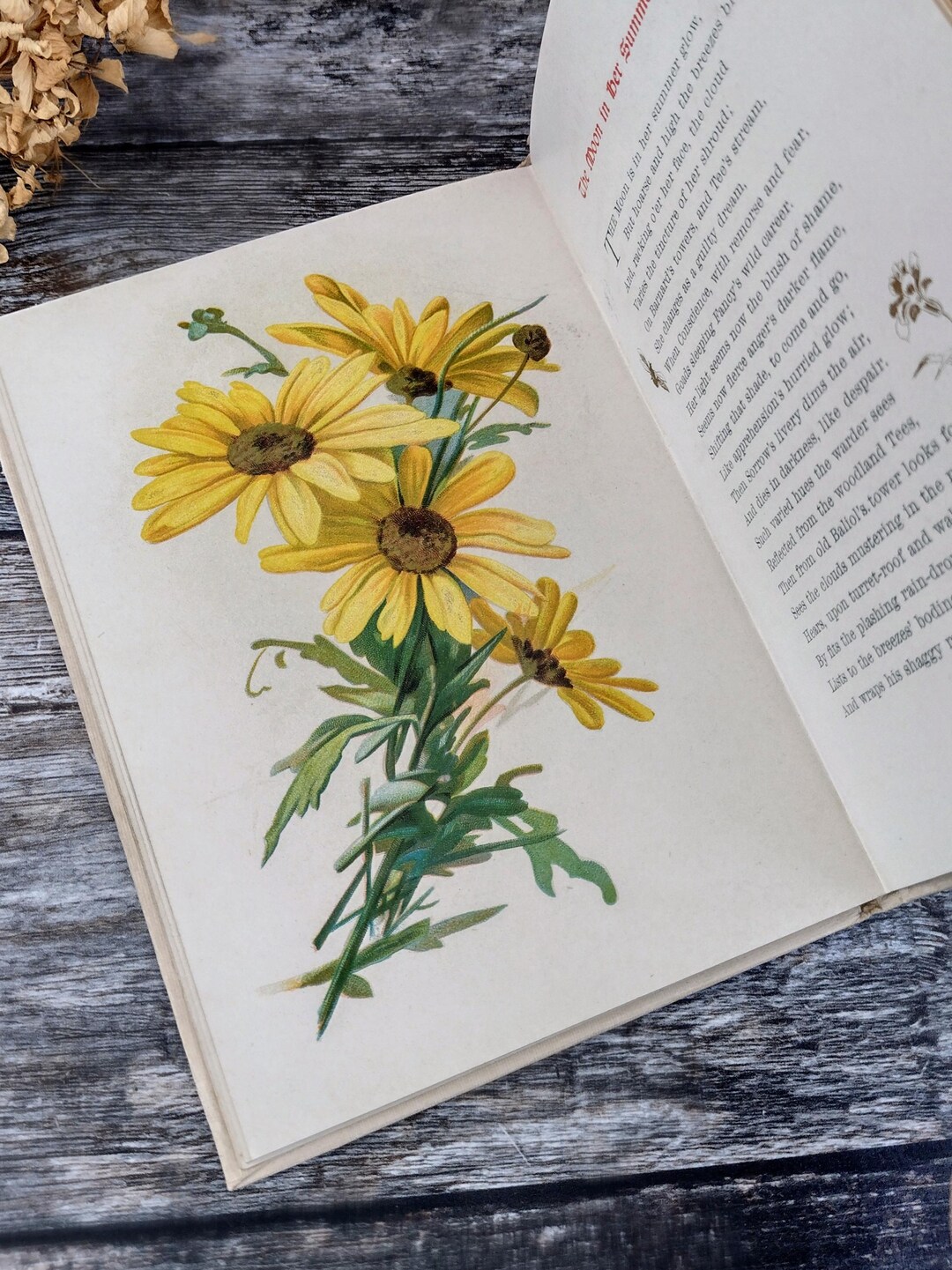 Diamonds From Scott - Antique Illustrated Poetry Book - Etsy