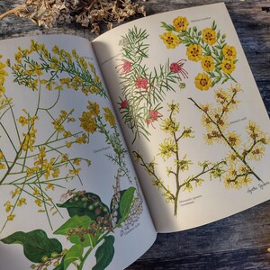Garden Flowers Shrubs Book - Botanical Book - Watercolour Artist ...