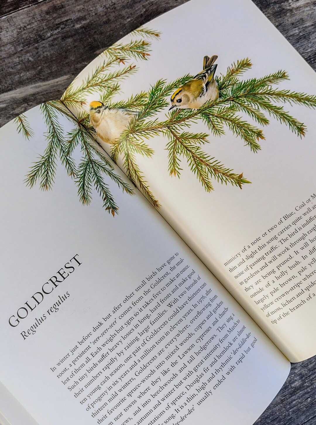 British Bird Guide Vintage Book birdwatchers Gift-nature Book nature ...