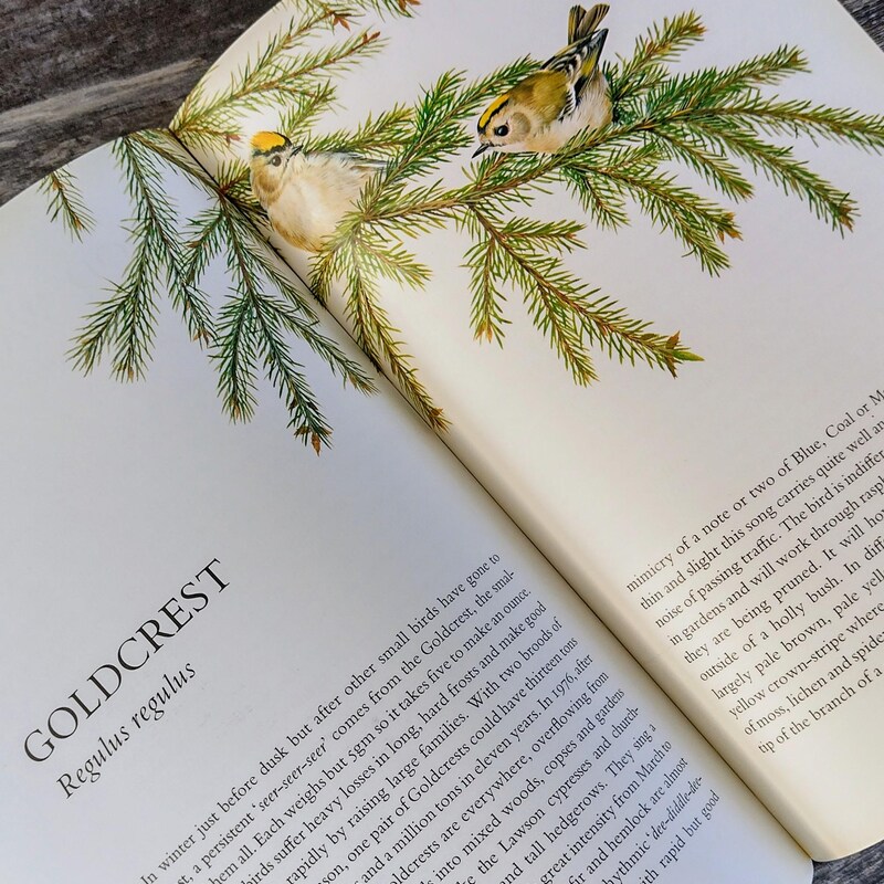 Vintage Bird Book - Etsy
