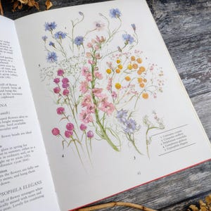 Guide to Drying Flowers Book - Botanical Book - Etsy