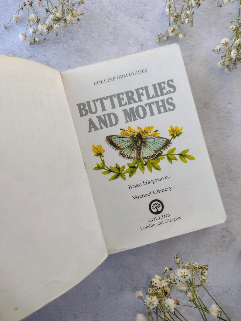 Guide to Butterflies and Moths - Vintage Botanical Creative Gift - Etsy