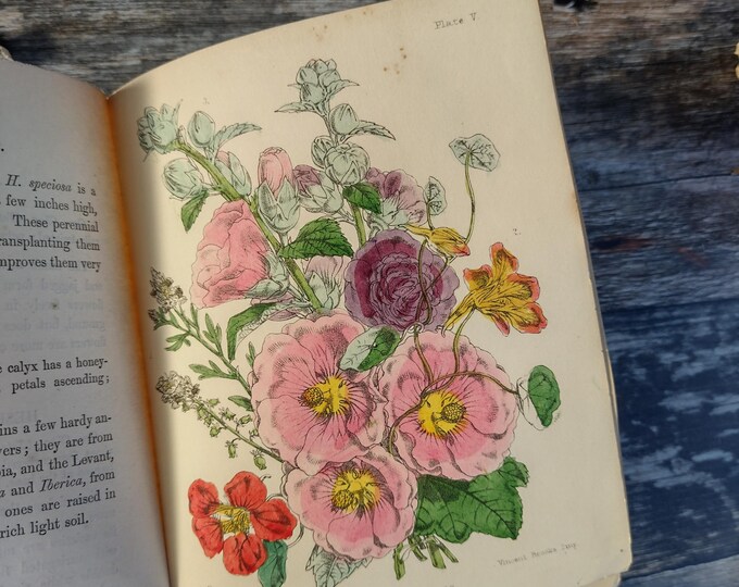 Antique and Very Rare - Popular Garden Botany Botanical Vintage Book - Etsy