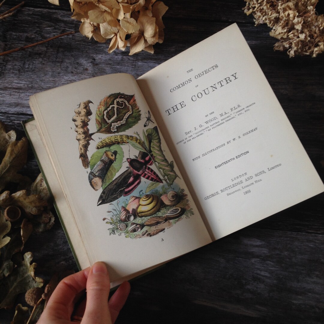 Antique Edwardian Countryside Nature Guide 1902 - Vintage Book by W S ...