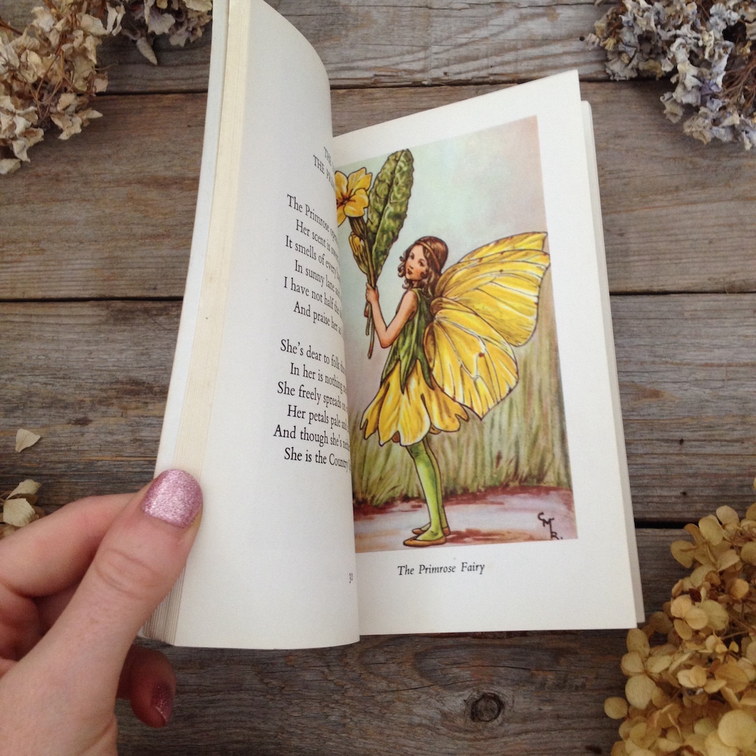 Flower Fairies Spring Wildflower Book - Vintage Book - Botanical ...