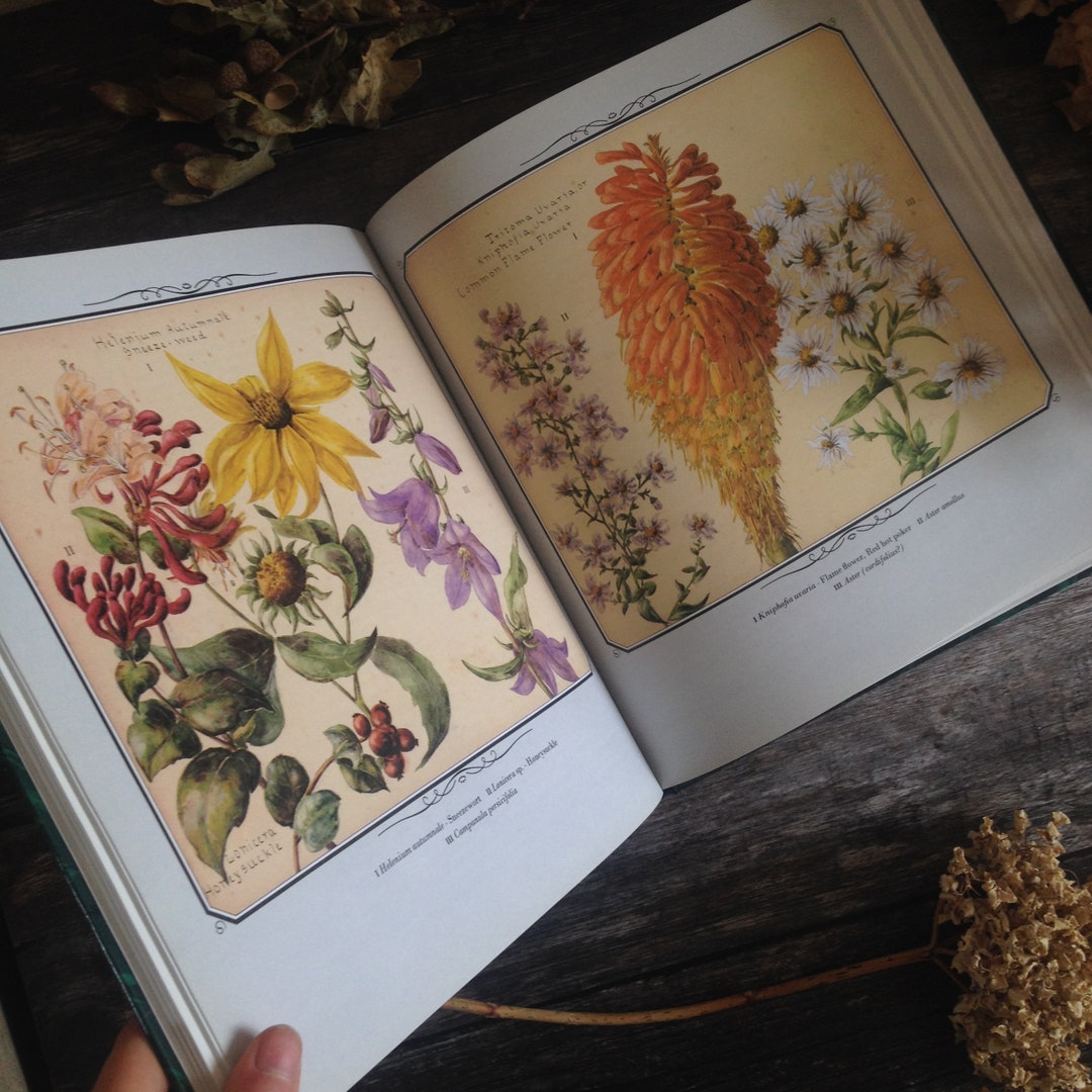 Victorian Botanical Gardening Book Illustrated Floral Watercolour ...