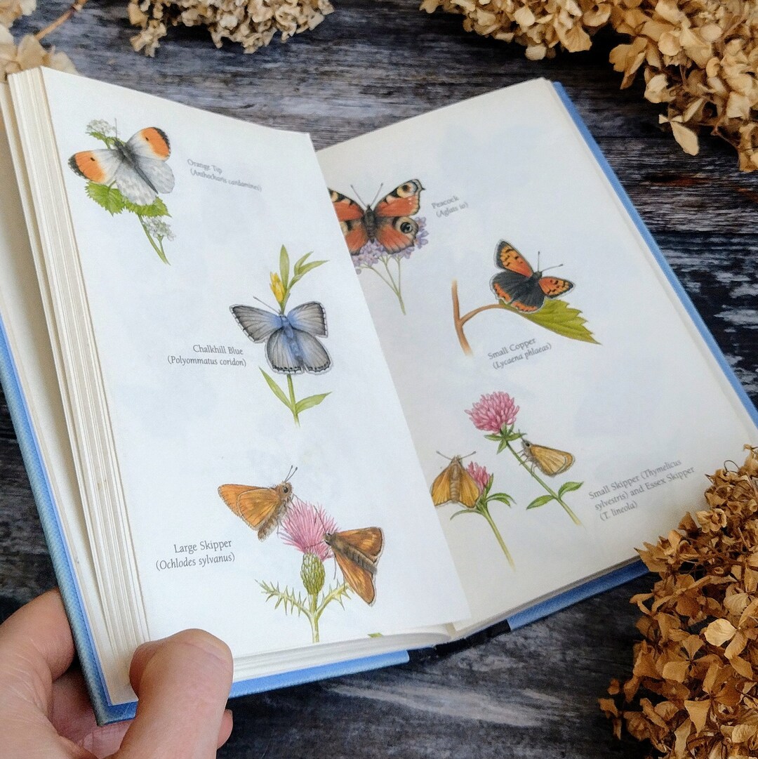 Butterflies Book - Nature Field Guide Illustrated Book - Etsy