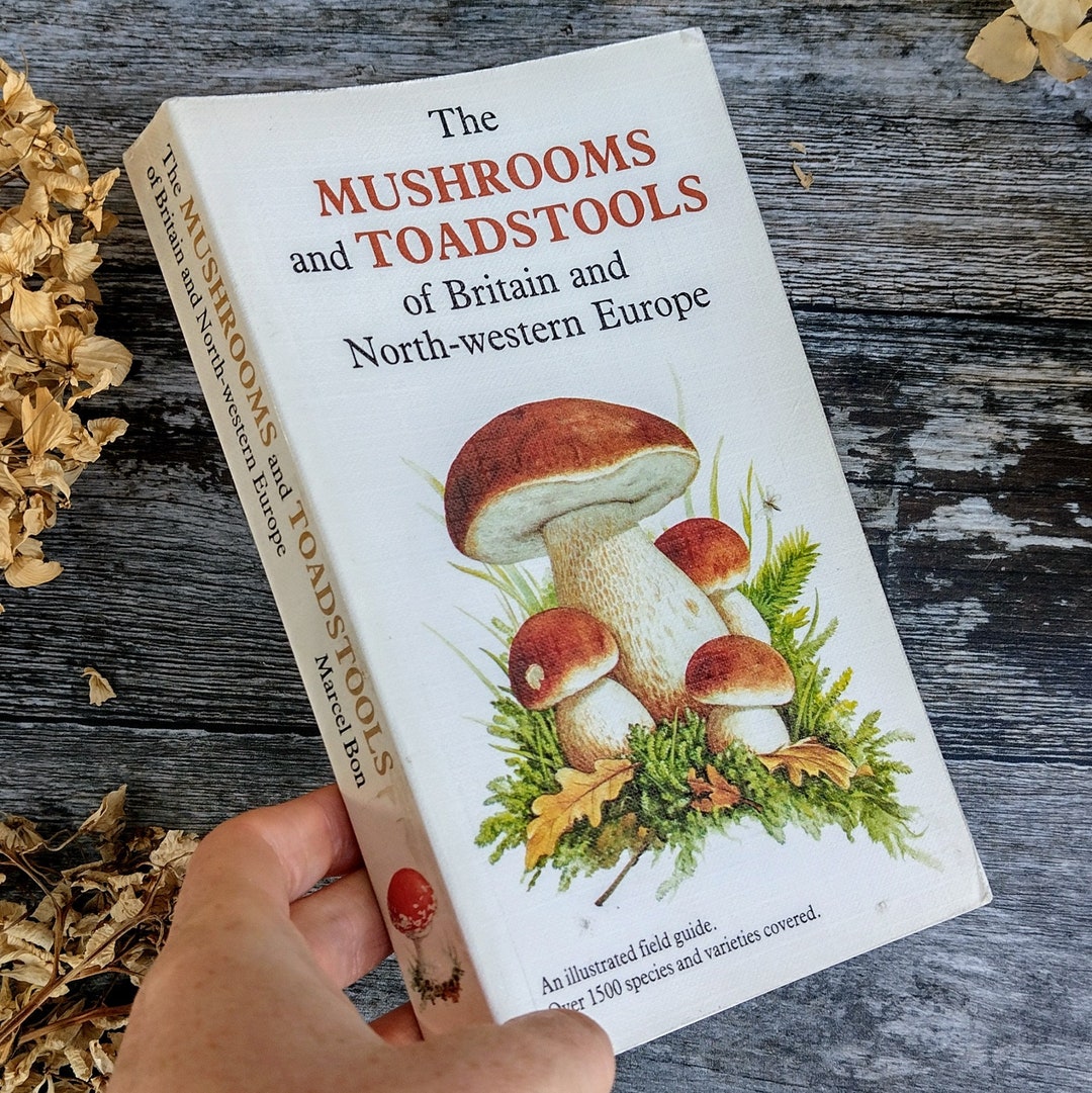 Mushrooms and Toadstools, Illustrated Vintage Nature Book - Etsy