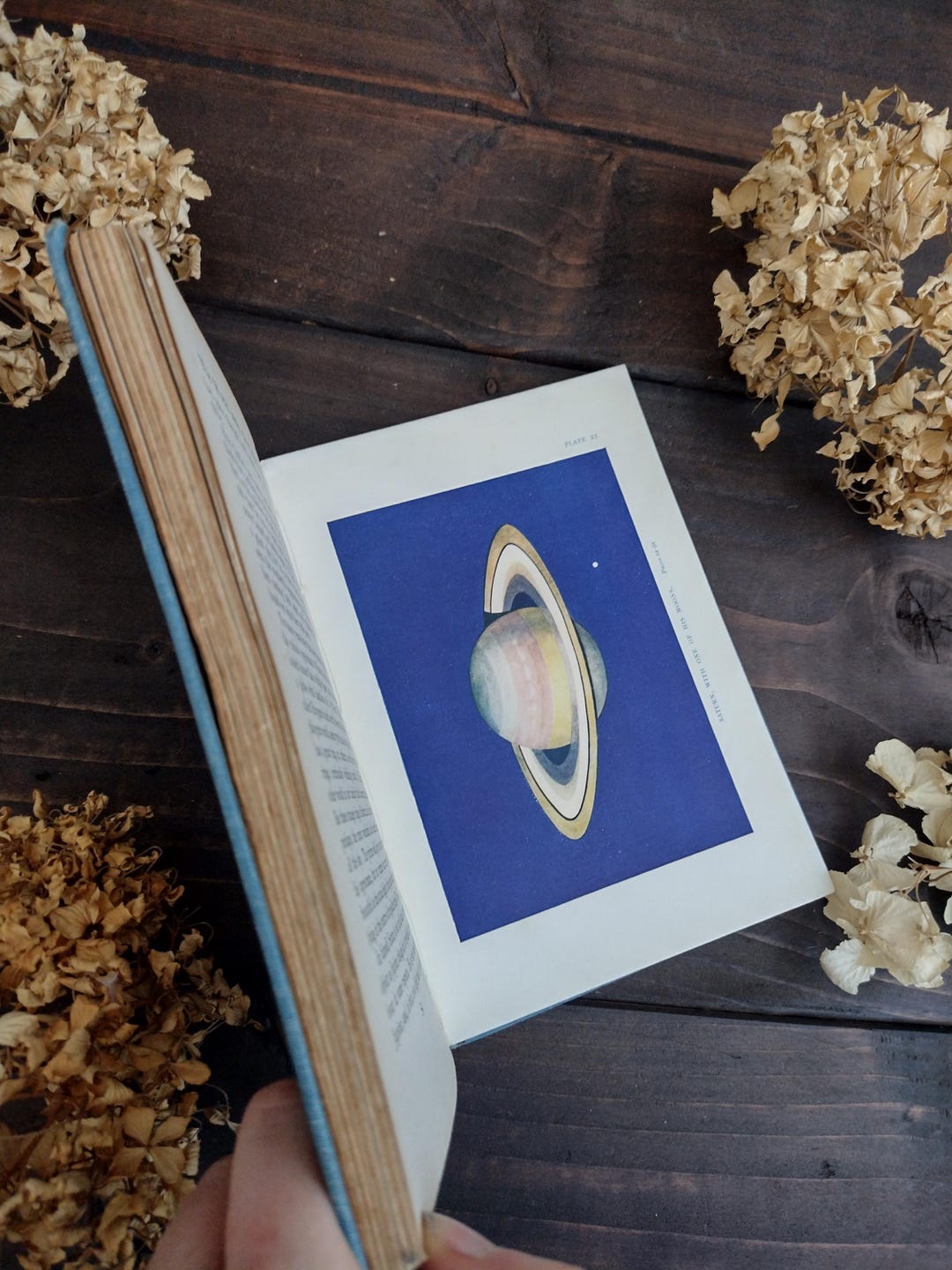 RARE 1913 Astronomy Book peeps at the Heavens Star Guide Night Sky ...