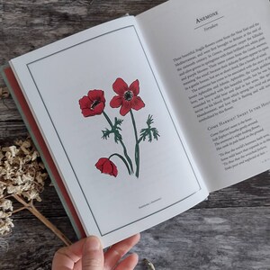 Victorian Language of Flowers Watercolour Artist Painting Book Gift for ...