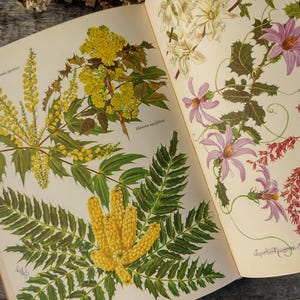 Garden Flowers Shrubs Book - Botanical Book - Watercolour Artist ...